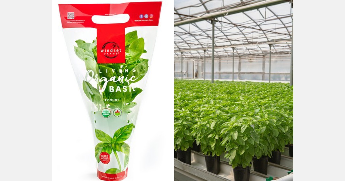 Living Organic Basil back on shelves