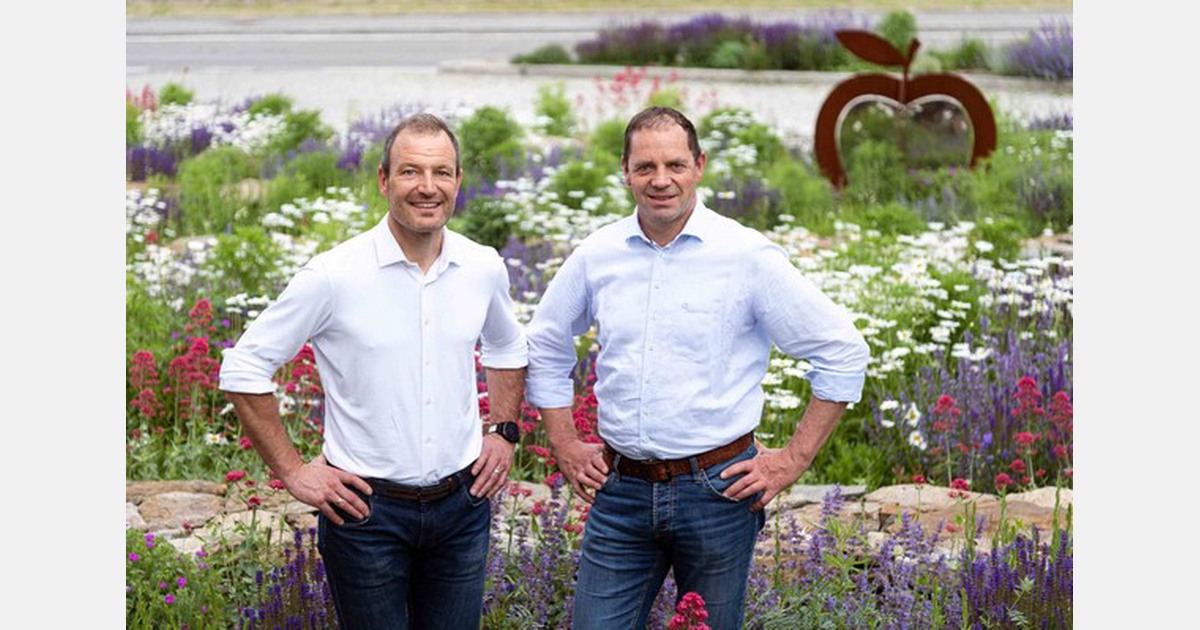 VIP apple sales gain speed after reorganisation