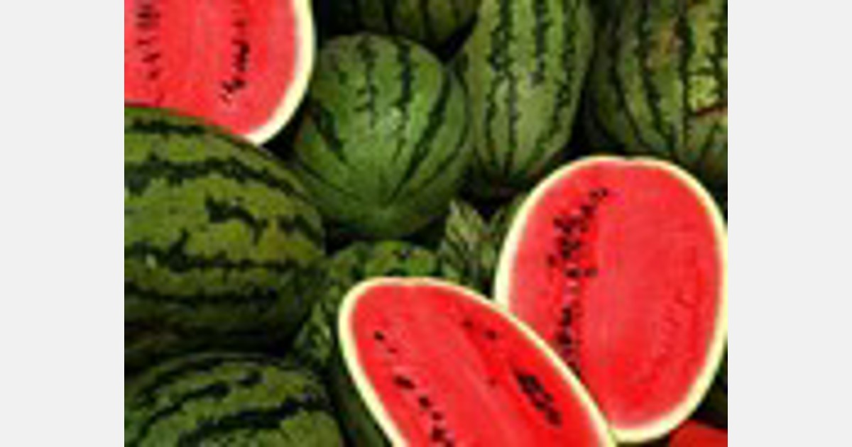 Watermelon prices in Uzbekistan drop rapidly, despite record high exports