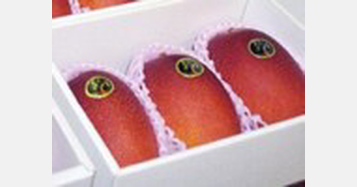 World's most expensive mango comes to India