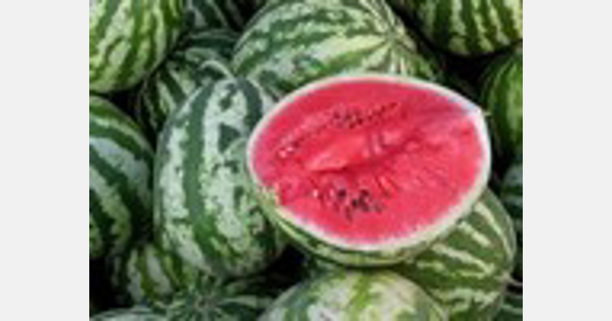 Early watermelons are in strong demand before the start of the new ...