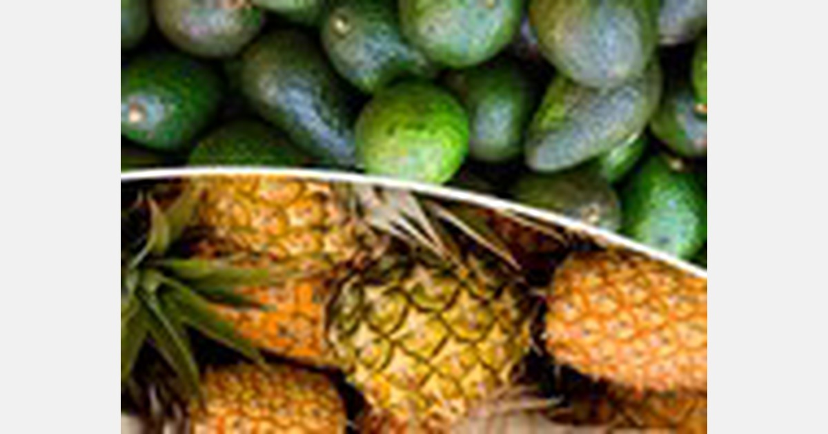 Resilience assessment of avocado and pineapple value chains