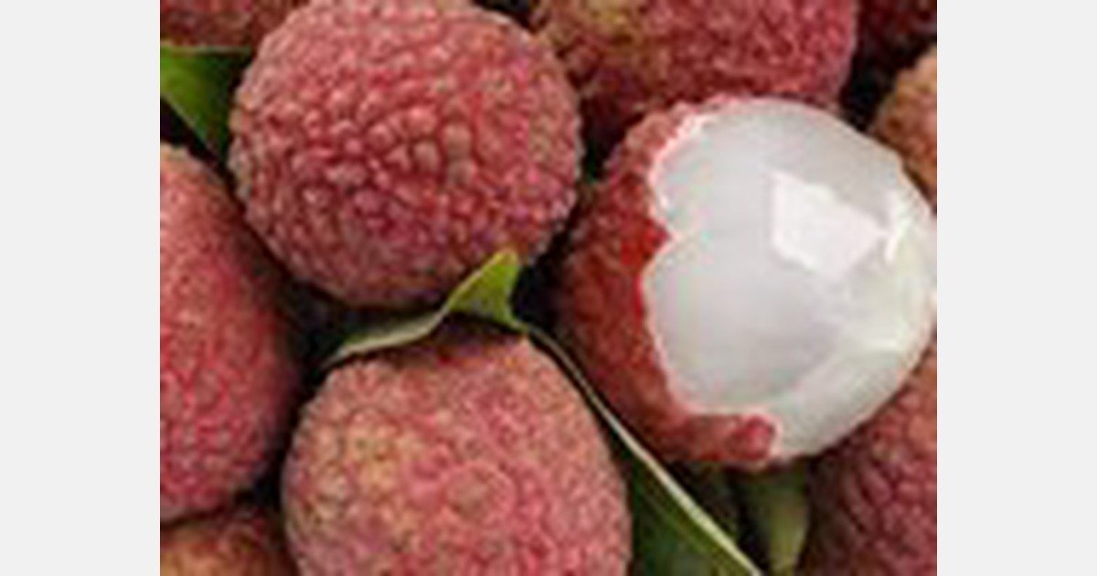 Shipment of Bangladeshi lychees passes French lab test