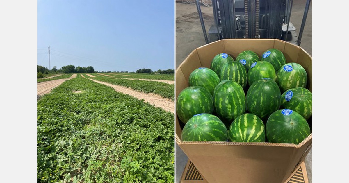 Unusually high pricing on Texas watermelons