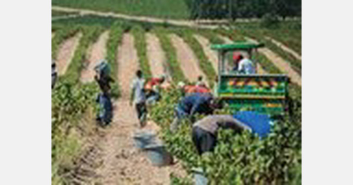 Zimbabwean exemption permits again extended in South Africa