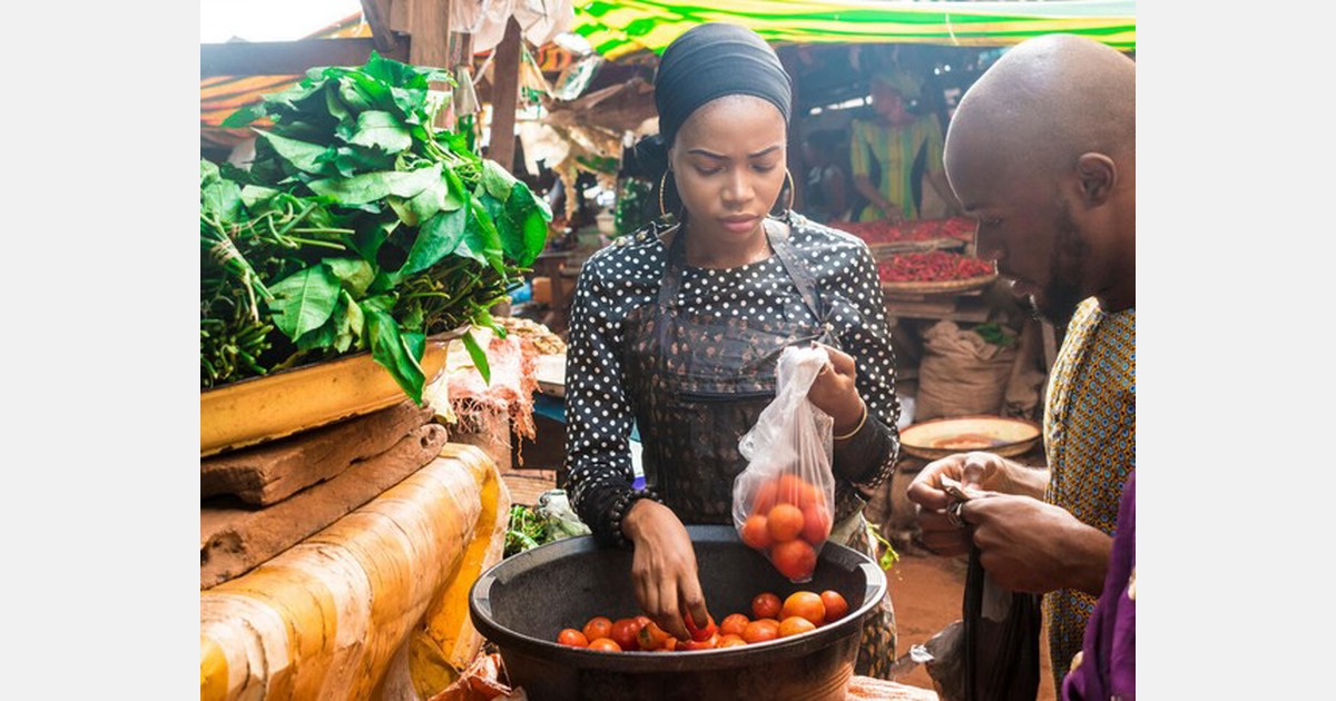 Independent research confirms value of Bayer’s smallholder farming ...