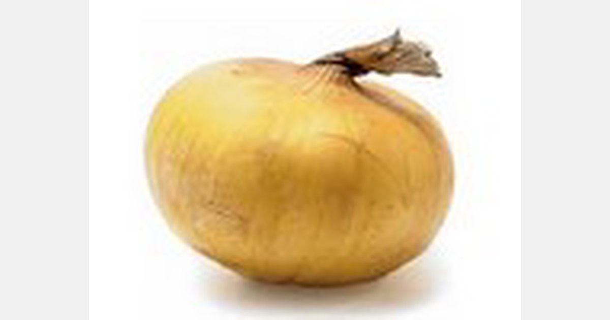 US researchers gain insight into bacteria threatening Vidalia onion ...