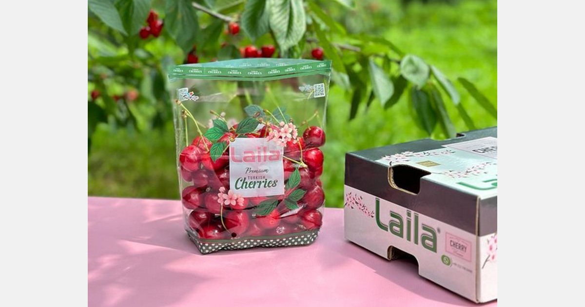 Downward trend expected next week for price of Turkish cherries