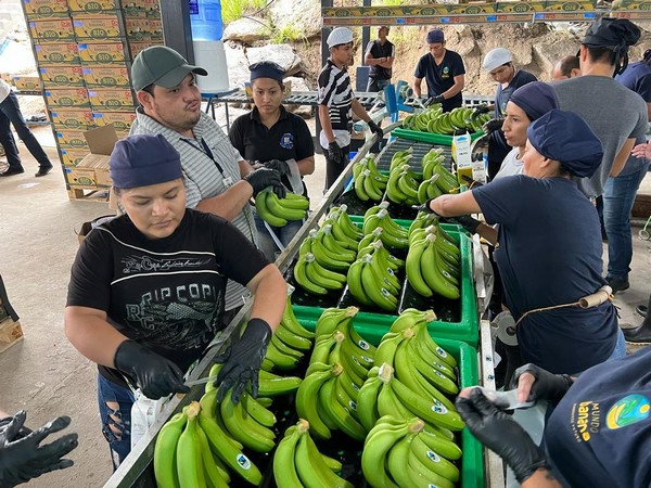 “Our expectation is to triple banana exports from Ecuador to China”