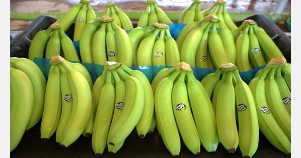 How attractive is the U.S. market for bananas?