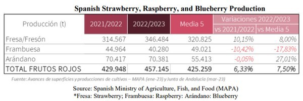 Spanish strawberries mainly destined for domestic market, EU and UK