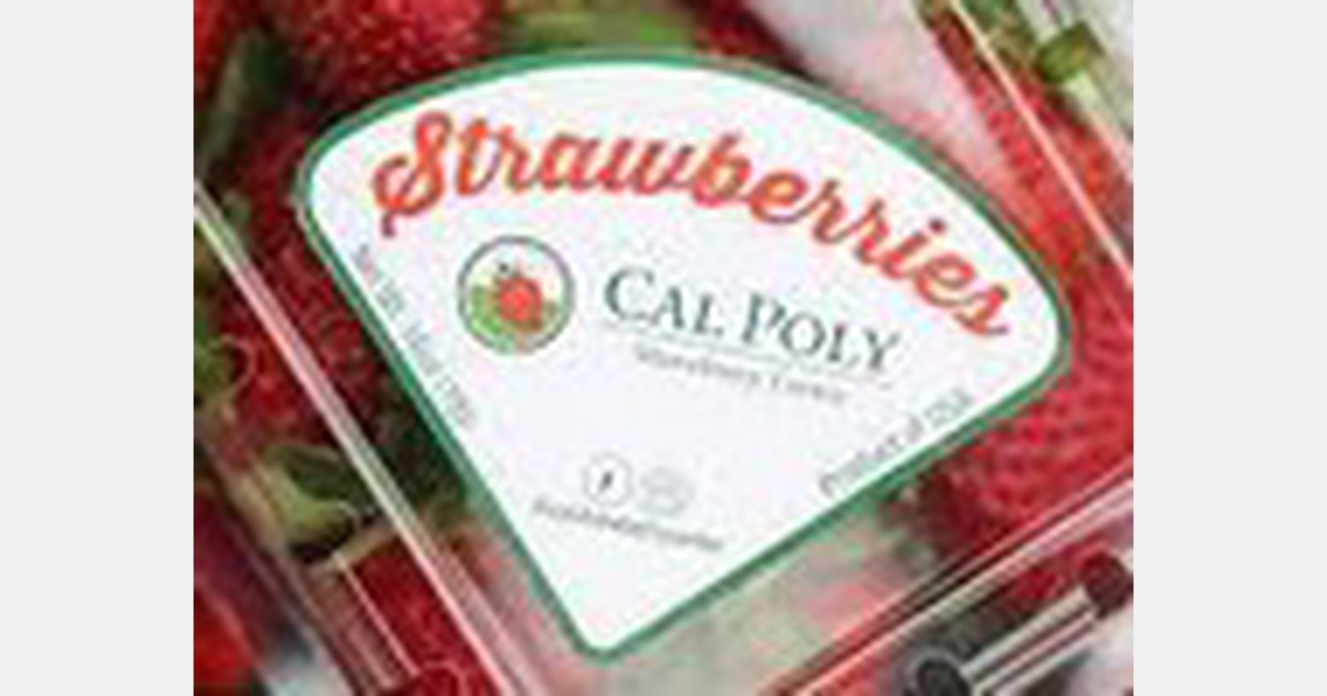 Cal Poly Strawberry Center and USDA receive funding to automate ...
