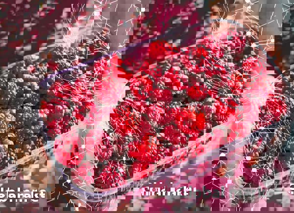 GLOBAL MARKET OVERVIEW RASPBERRIES