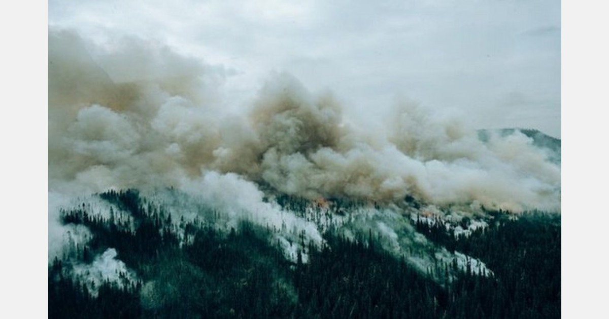 How did the Quebec wildfires impact growers?