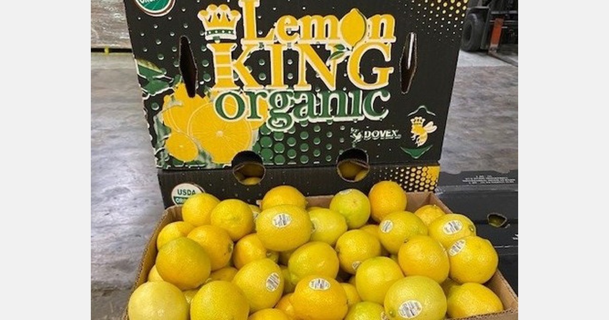 Does shelf-life hinder organic lemon exports from Argentina to the US?