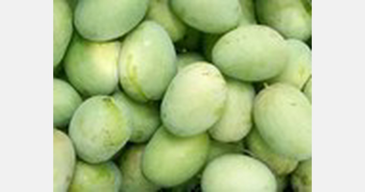 Mangoes from Nepal dominate market as fruit sees bumper production