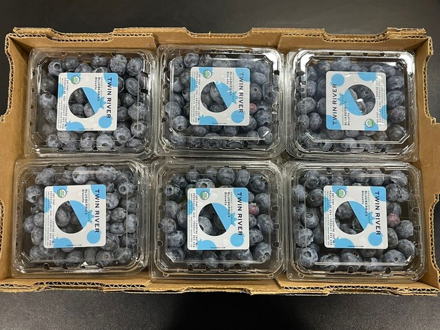 Pacific Northwest blueberry crop enters peak of harvest