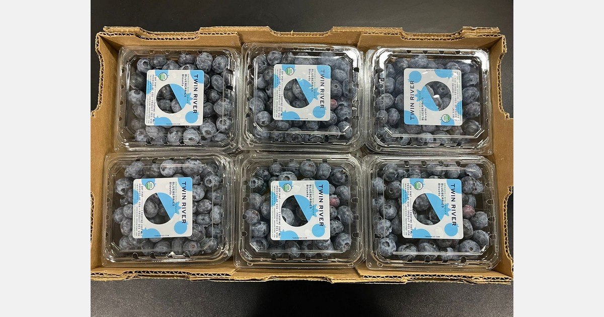 Pacific Northwest blueberry crop enters peak of harvest