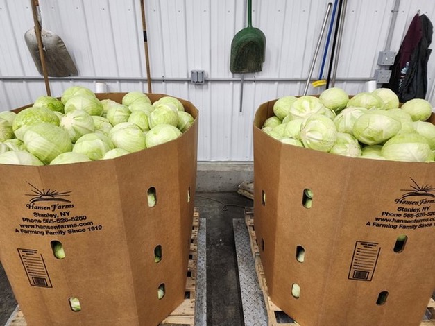 Local cabbage deals inundate the market
