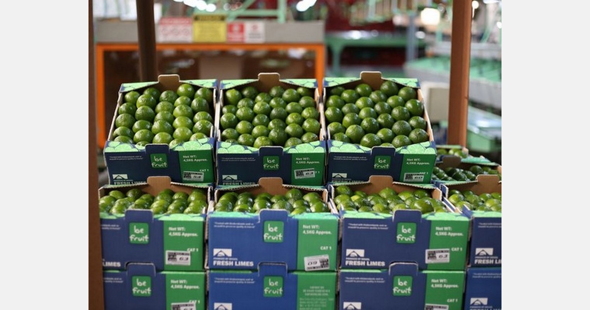 “Lime demand and prices in Europe higher, but Brazil has lower supply”