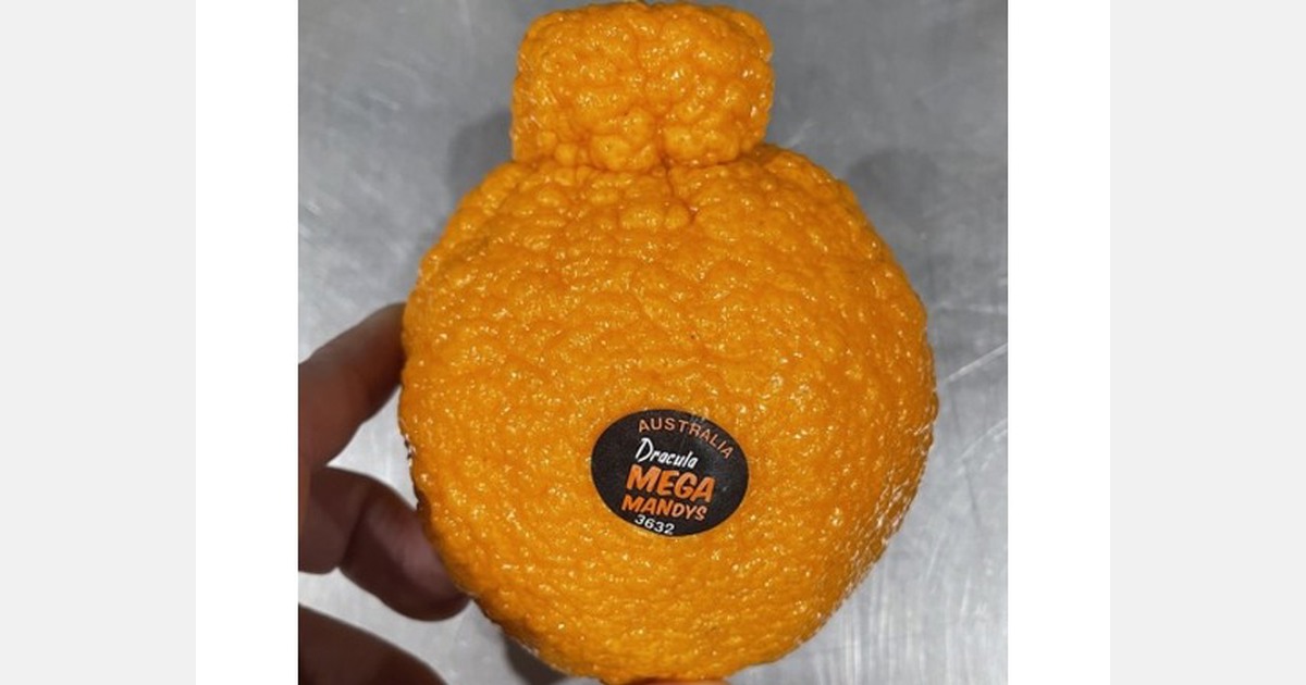 Mega Mandy joins the Pinnacle Fresh family