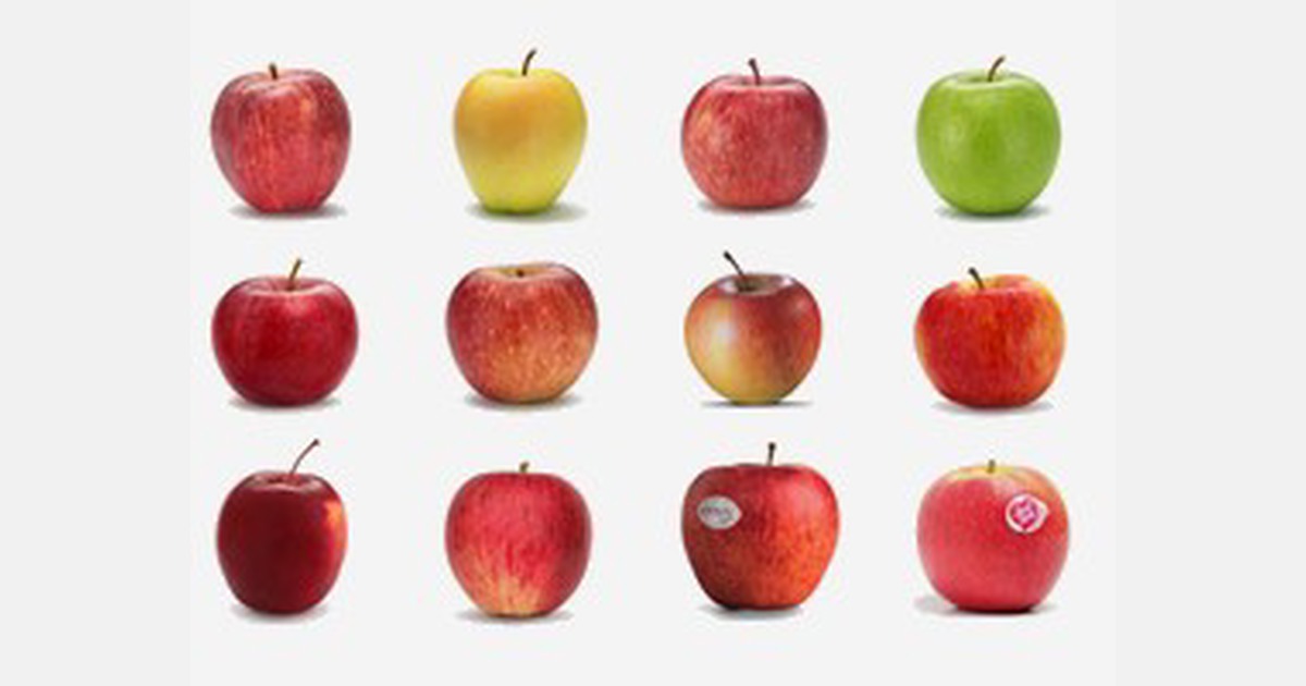 VOG apples are increasingly going international