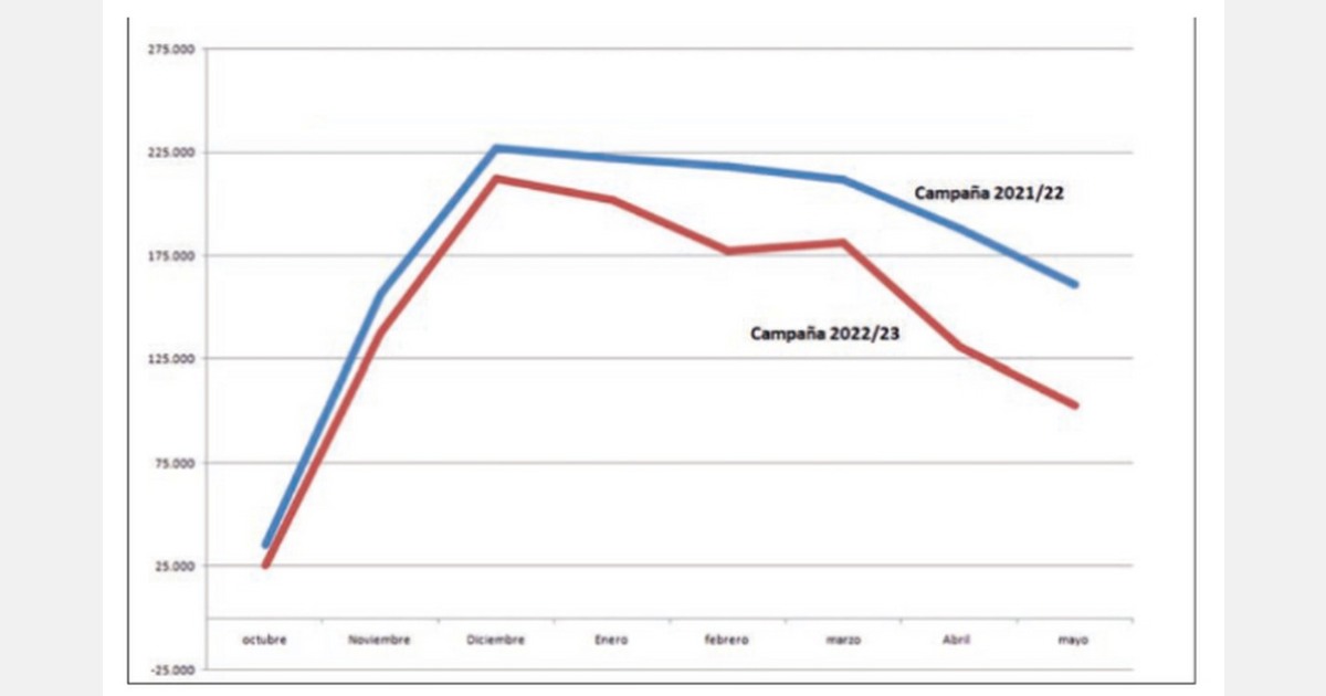 Smallest orange crop in the last 20 years was significant in Spain