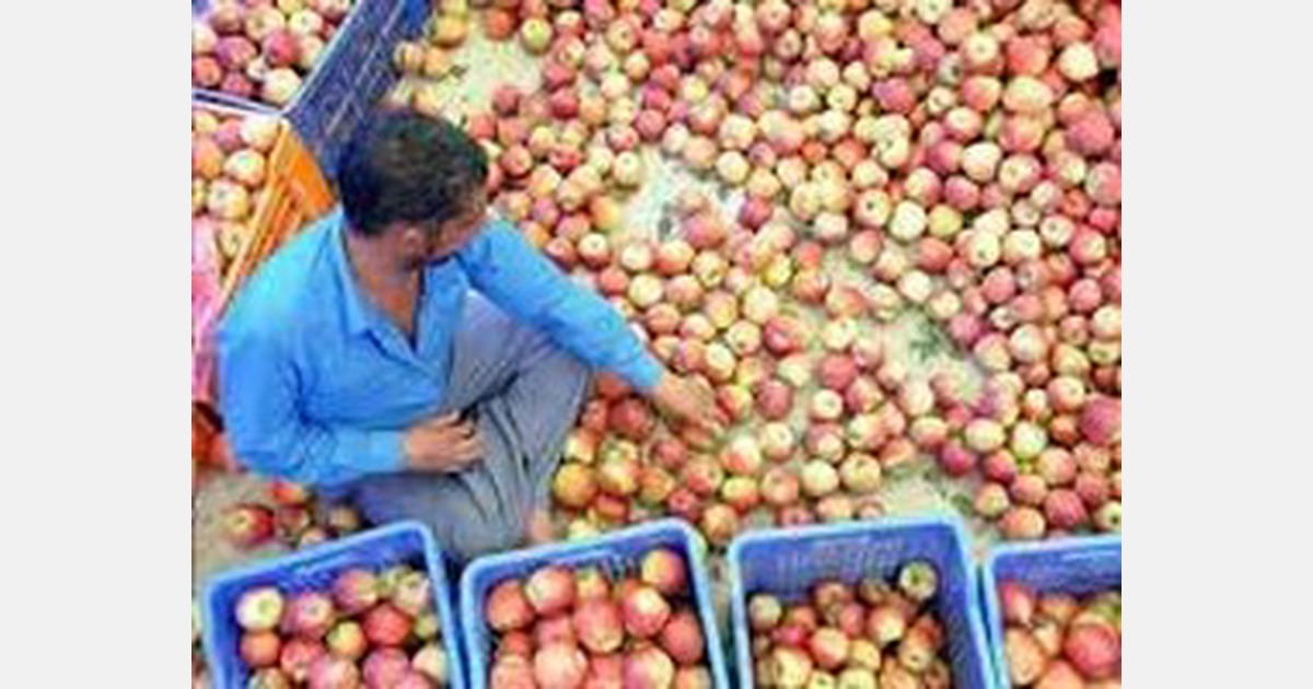 HP government passes new guidelines for apple auctions in APMC yards