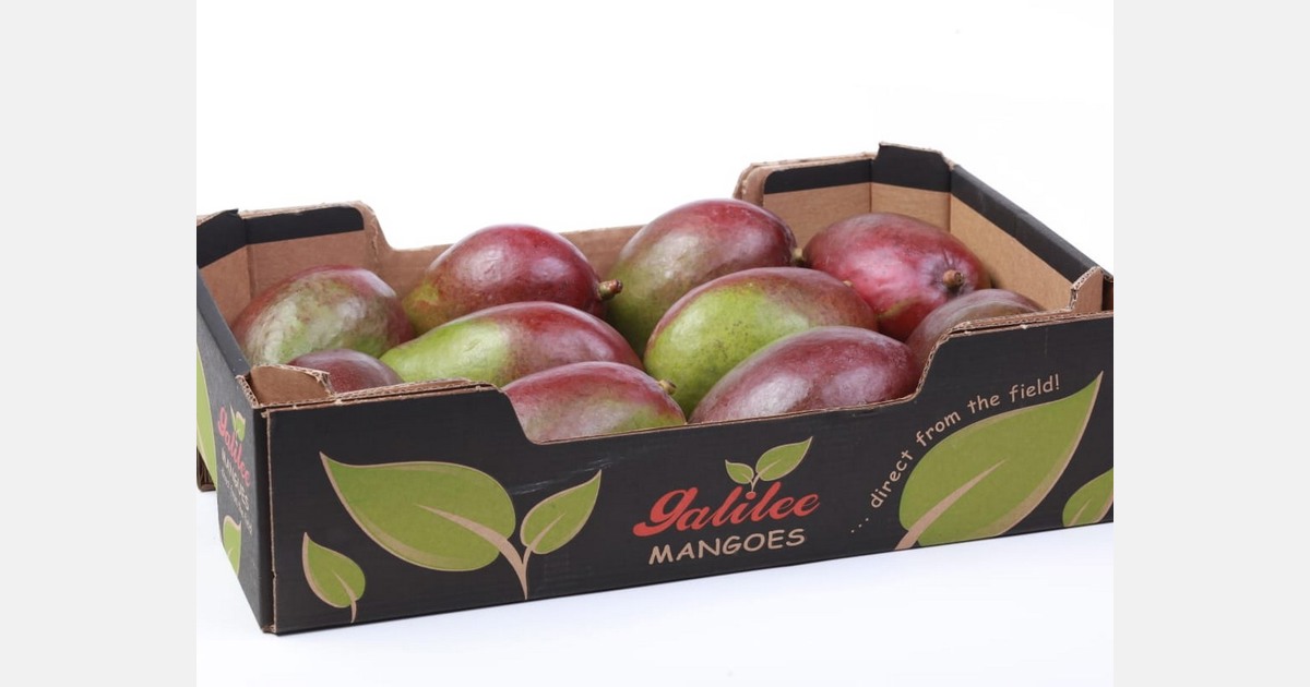“From Israel we’re seeing a higher ready-to-eat mango trend in Europe”