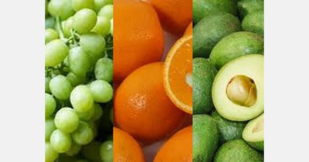 Kunene Grapes and Citrus Et Al Ltd to grow grapes, citrus and avocados ...