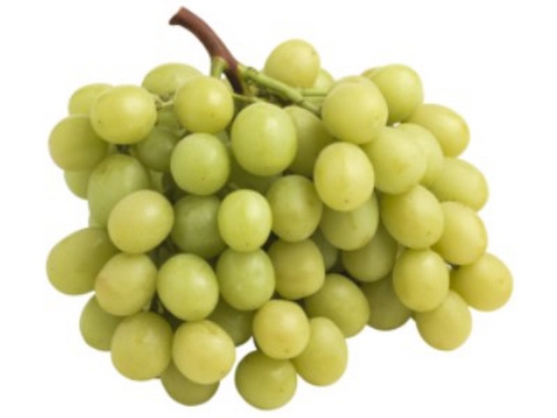 Launch of first global branded grape marketing campaign