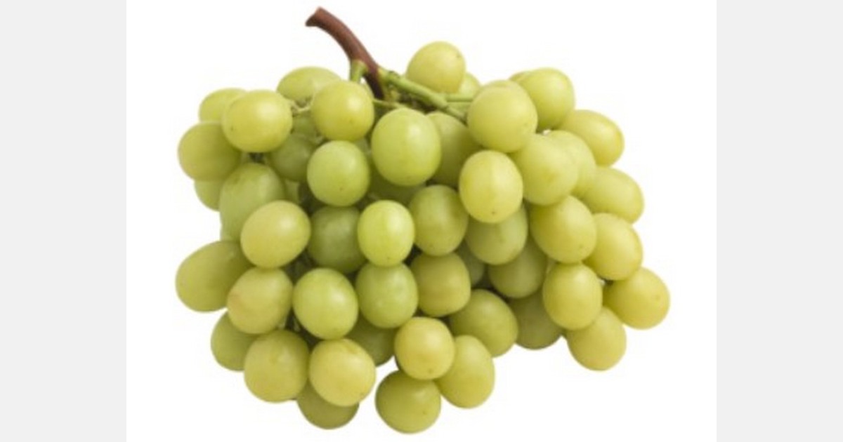 Launch of first global branded grape marketing campaign