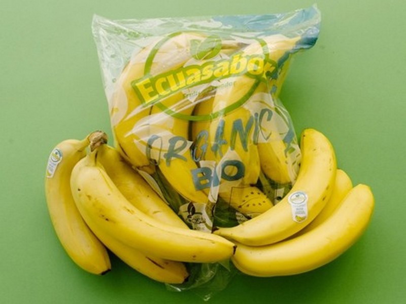 “Ecuadorian bananas to become basis for Asian nutrition”