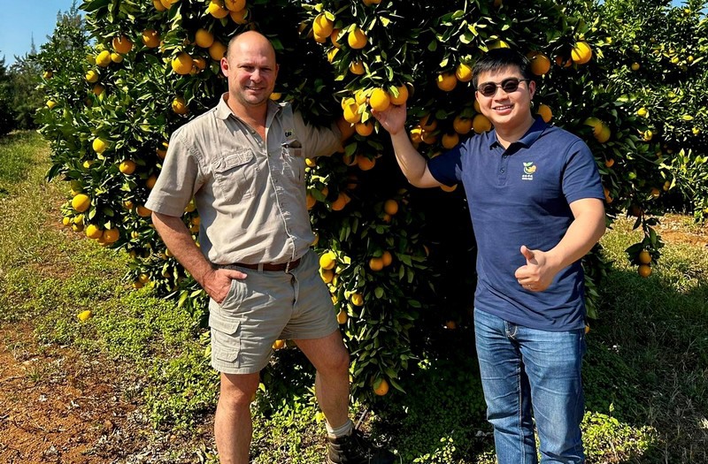 Mixed Summer season for South African citrus in China