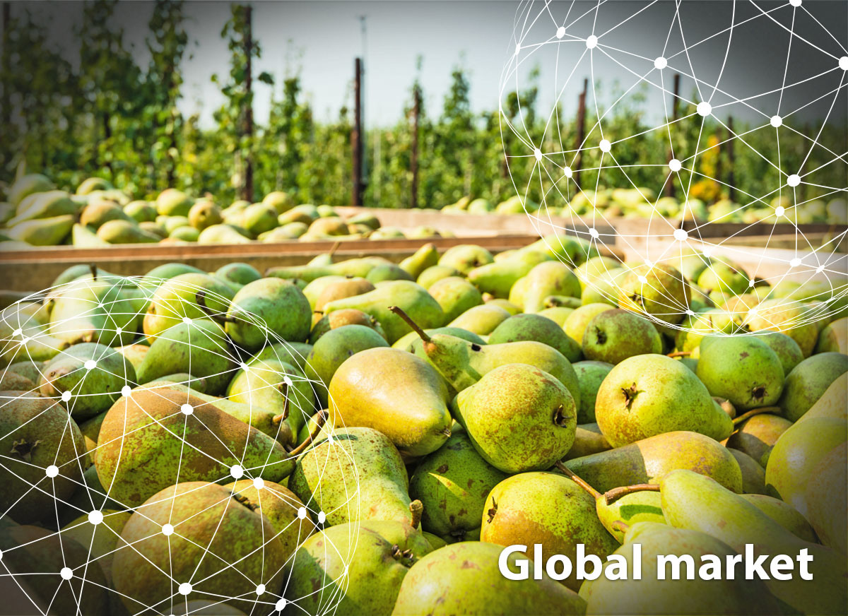 GLOBAL MARKET OVERVIEW PEARS