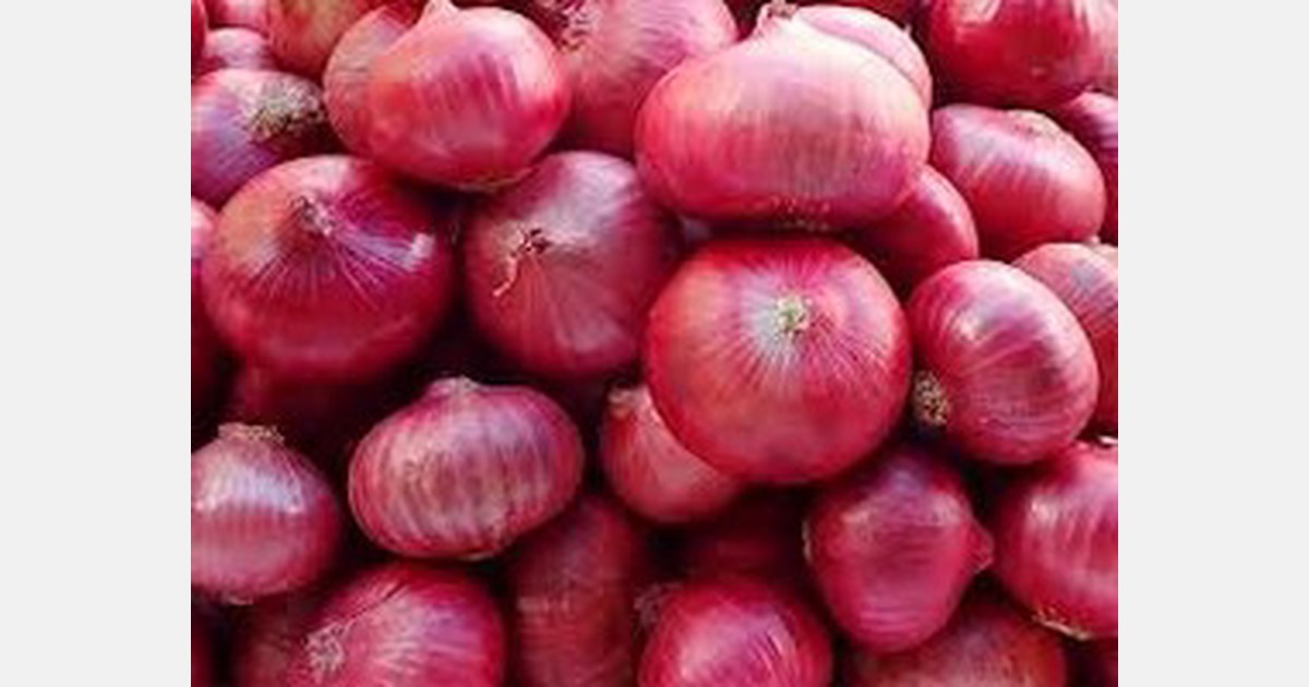 India imposes 40% export duty on onions to reassure the market