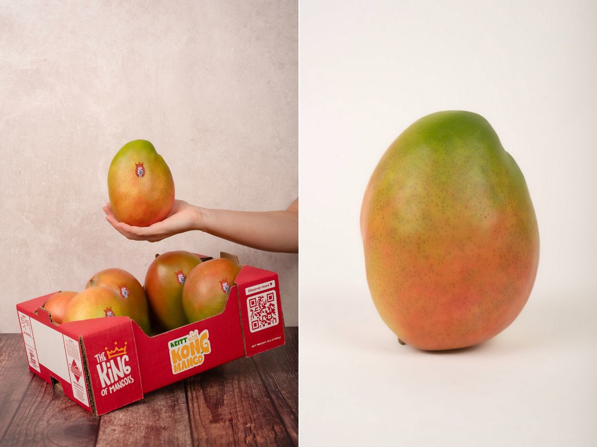New label for Mexico’s late season extra-large mangoes