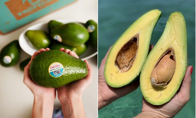 Tropical avocados offer alternative to the original avocado