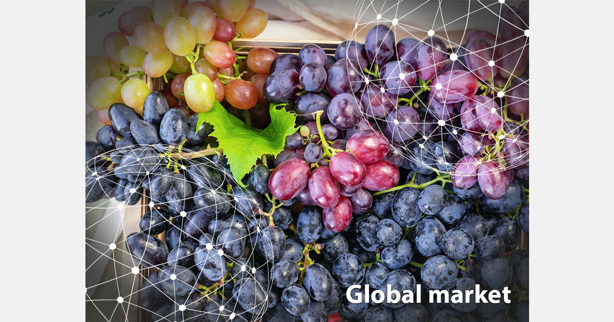 GLOBAL MARKET OVERVIEW GRAPES