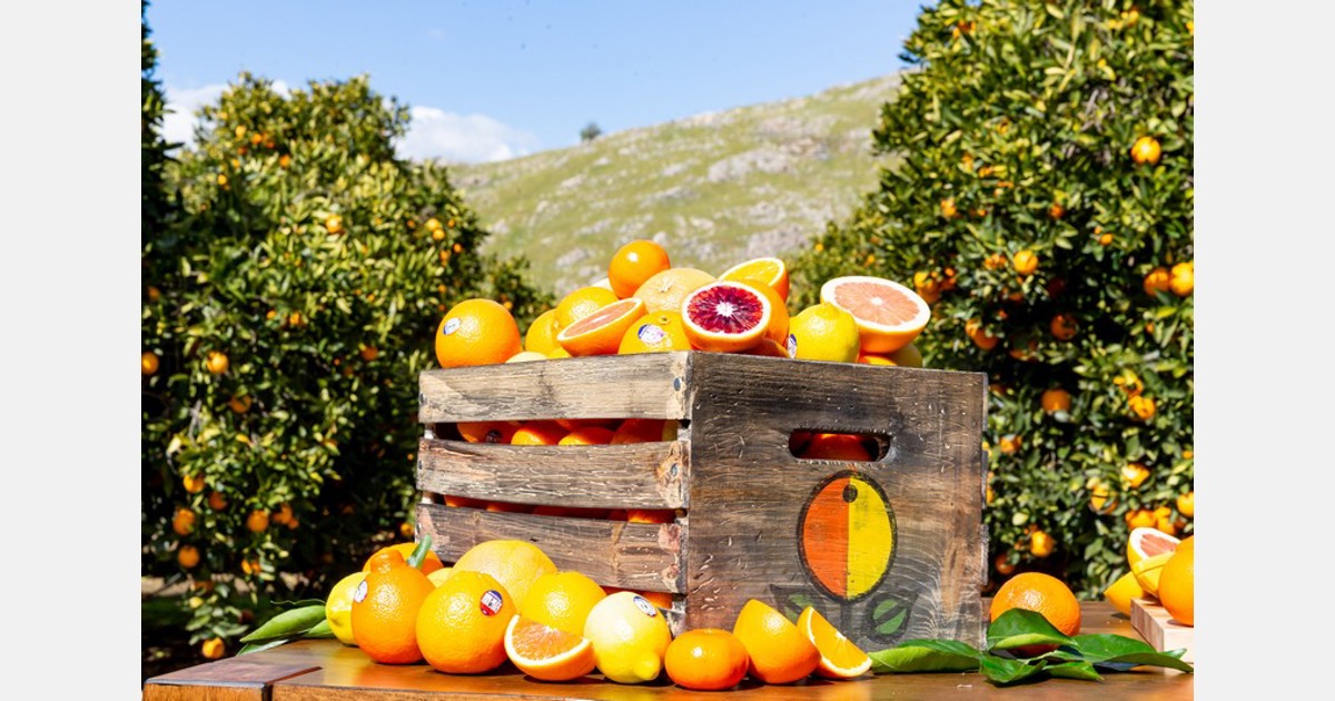 Citrus grower prepares for new California season