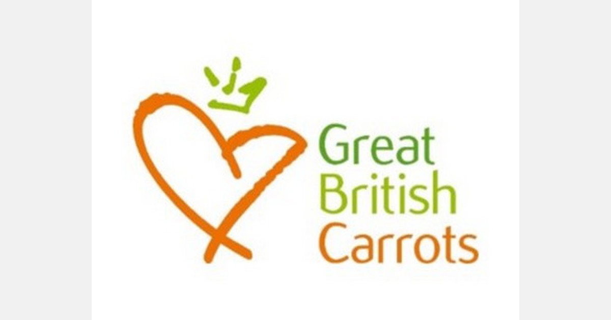 Innovation in carrot cultivation on show at British carrots demo day