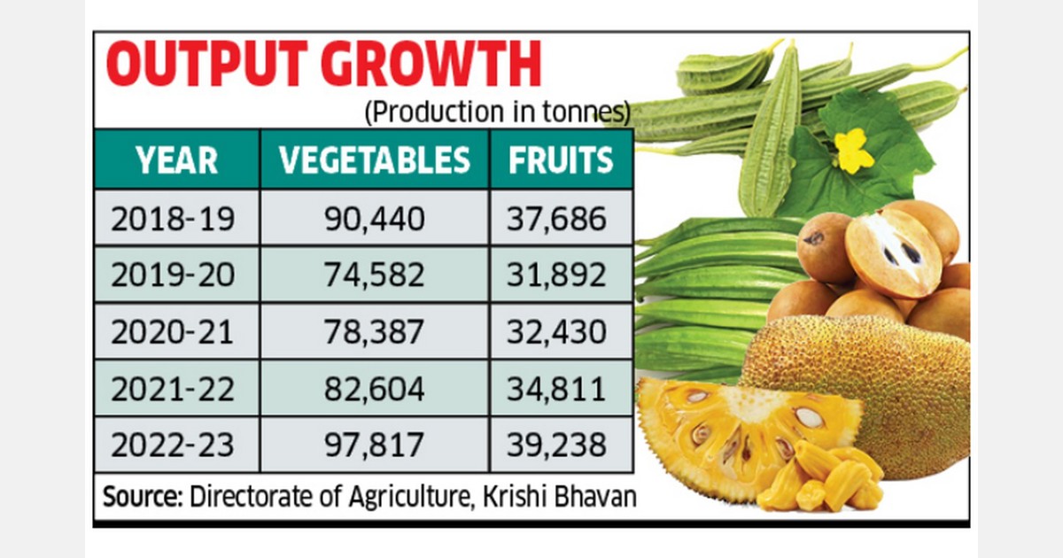 Fruit and vegetable cultivation on the rise in Goa
