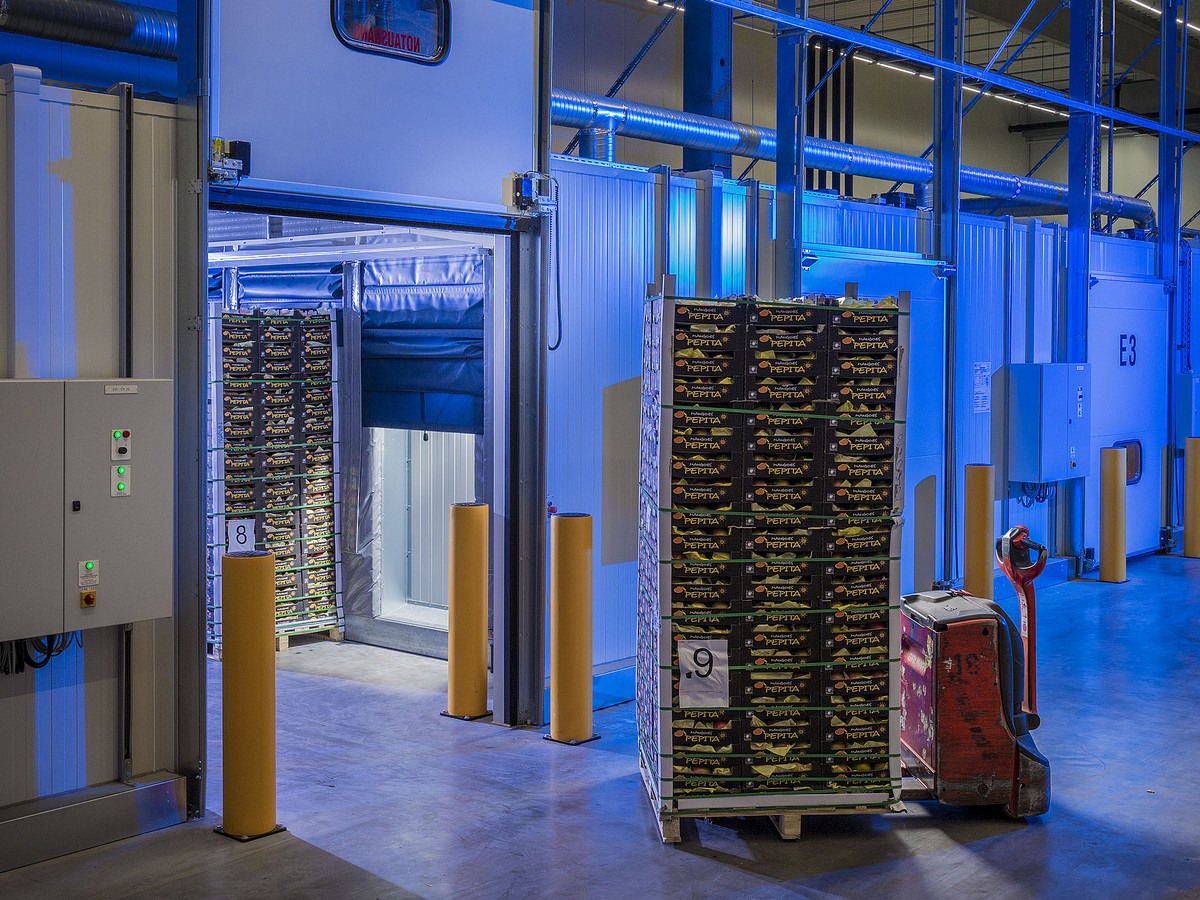 Retrofit can decrease energy consumption in ripening rooms by 70%