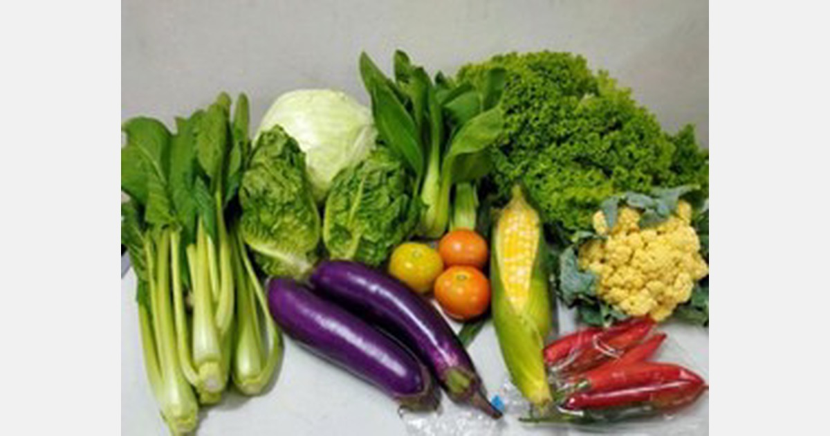 Cold snap drives up prices of some Cameron Highlands vegetables