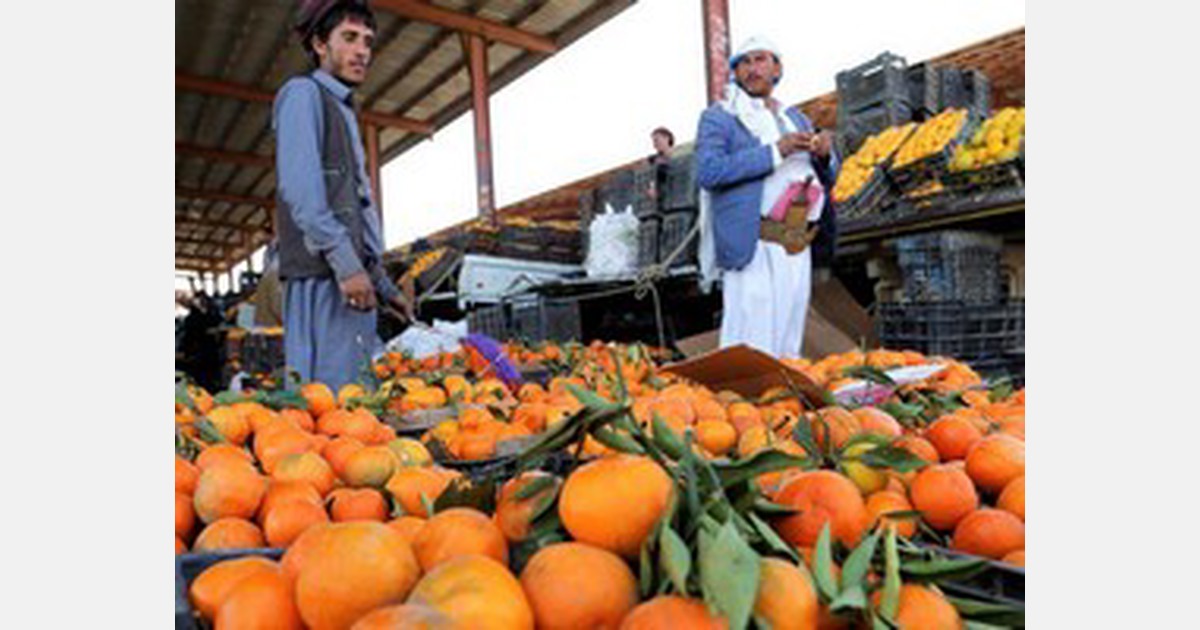 Seasonal fruit slump in northern provinces of Yemen