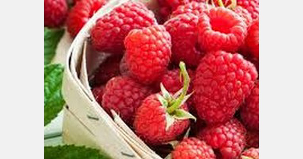 Shocking prices of raspberries in Ukraine