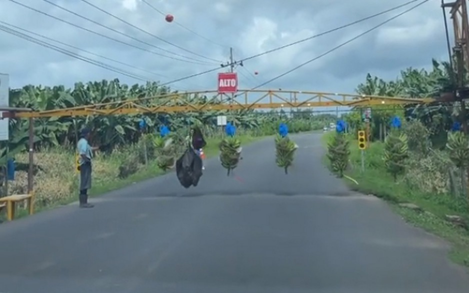 Costa Rica’s unique way of getting bananas to market: the ‘banana train’