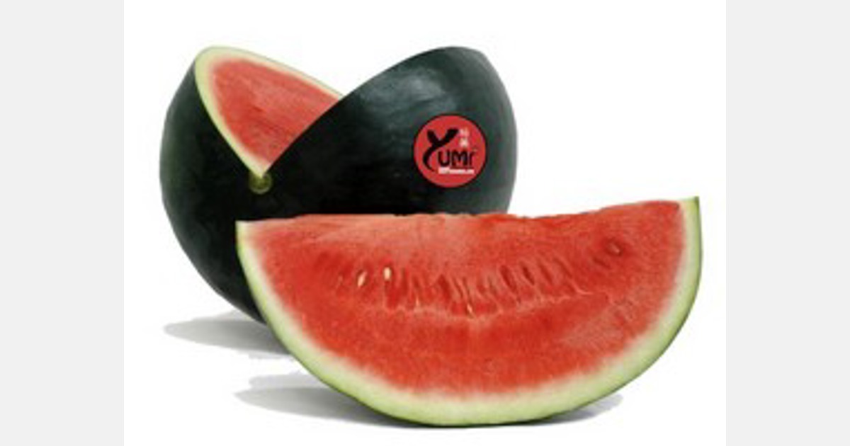 The incredibly priced watermelons from Japan