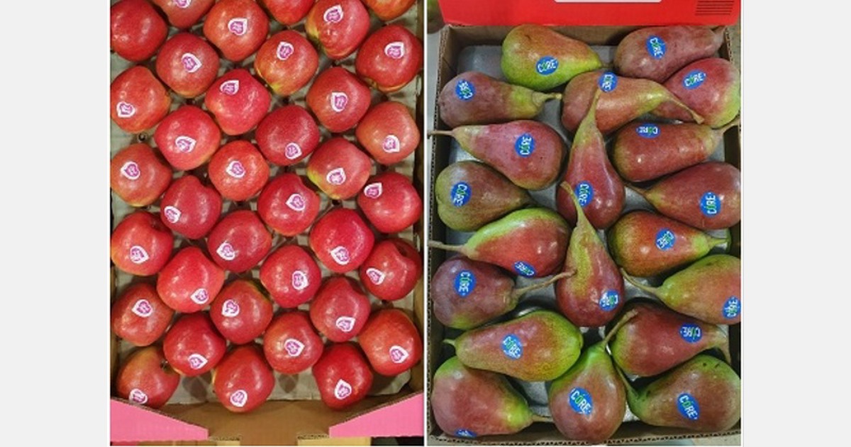 Some positives for SA apples and pears amid a difficult growing season