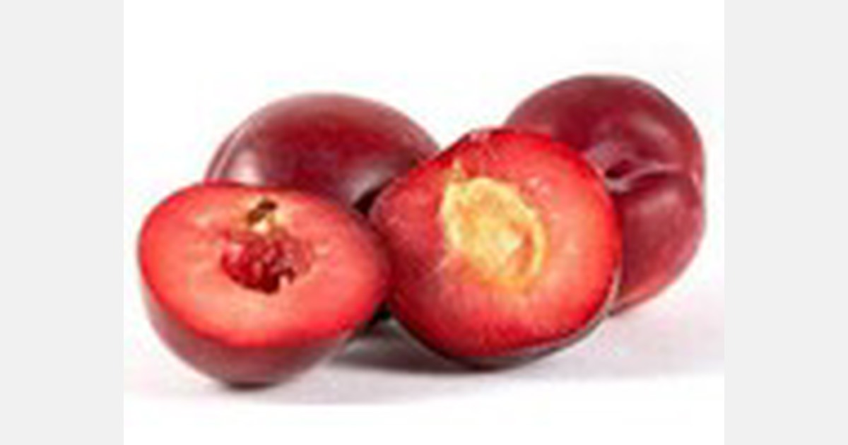 organic plums